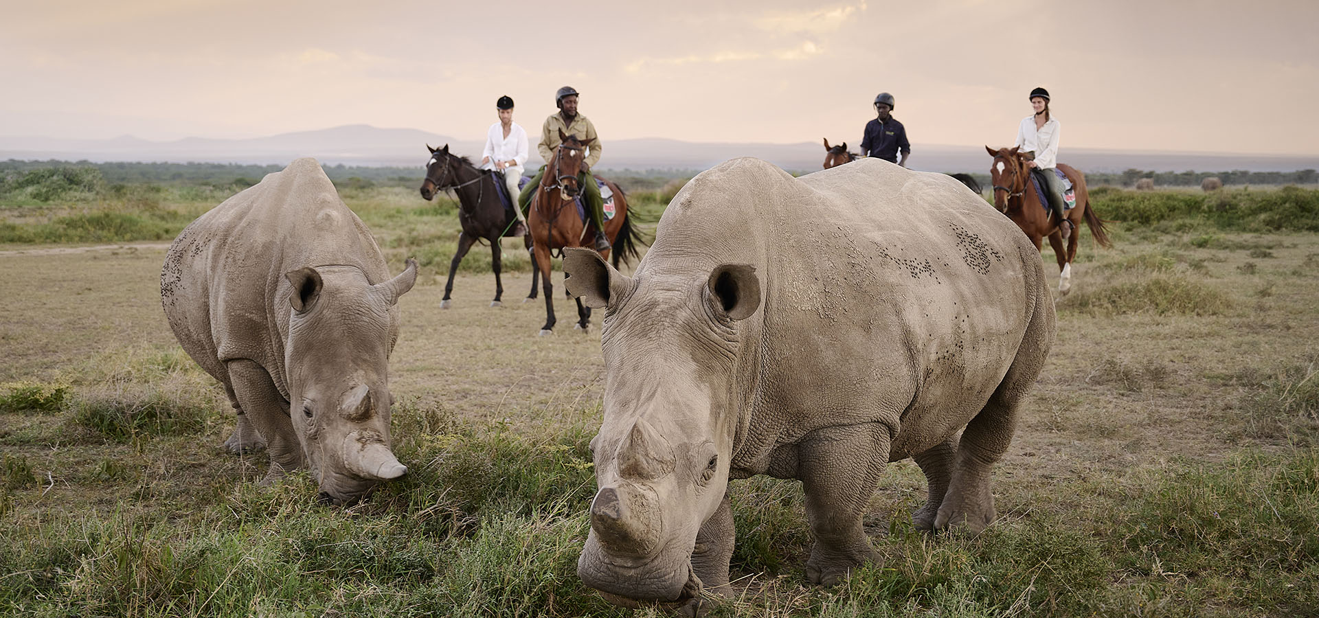 10 Days Kenya Safari I The Wild N Magical Safari Experience